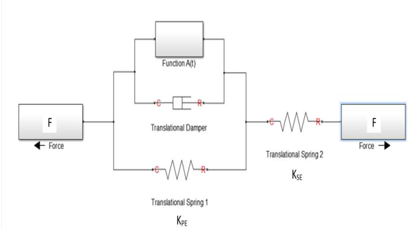 Professor Lynch Research